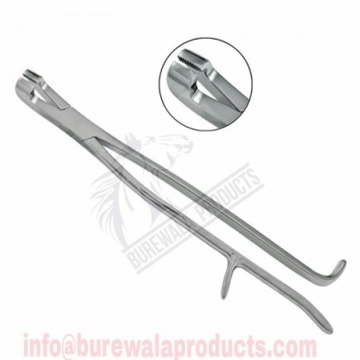 Veterinary Instruments » Horse Forceps
